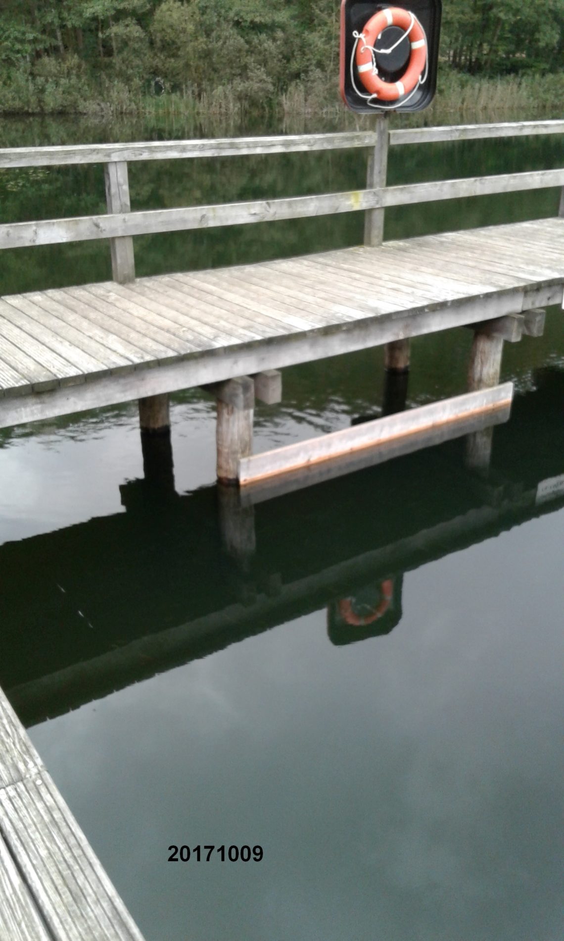 Der Rote See trocknet aus! : BUND Ortsgruppe Brüel